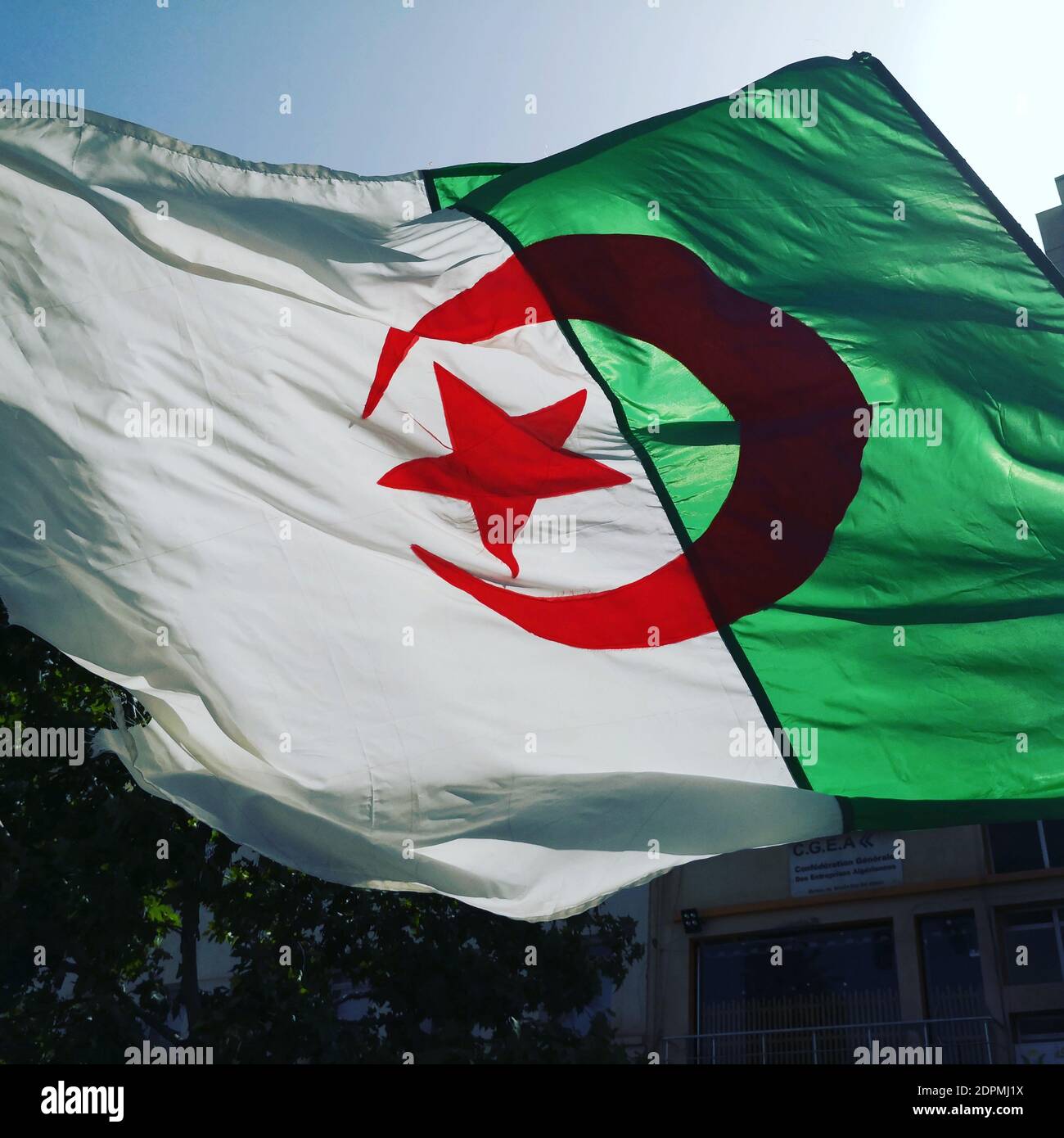 Algeria waving flag High Resolution Stock Photography and Images - Alamy