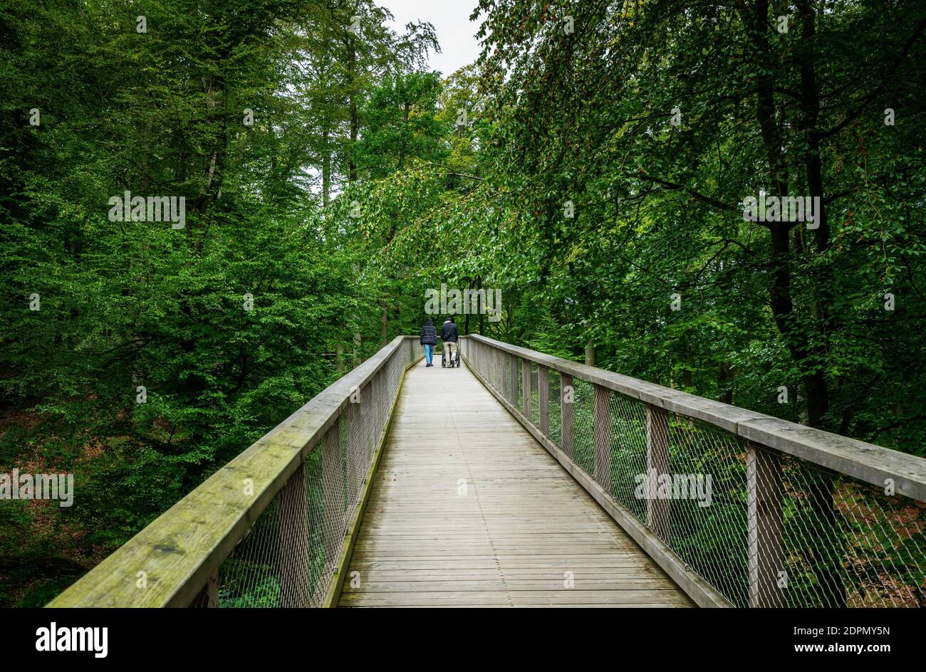 Tree Top Path In Rügen Stock Photo - Alamy