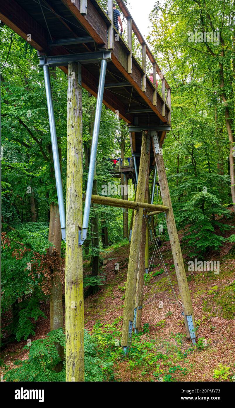 Tree Top Path In Rügen Stock Photo - Alamy