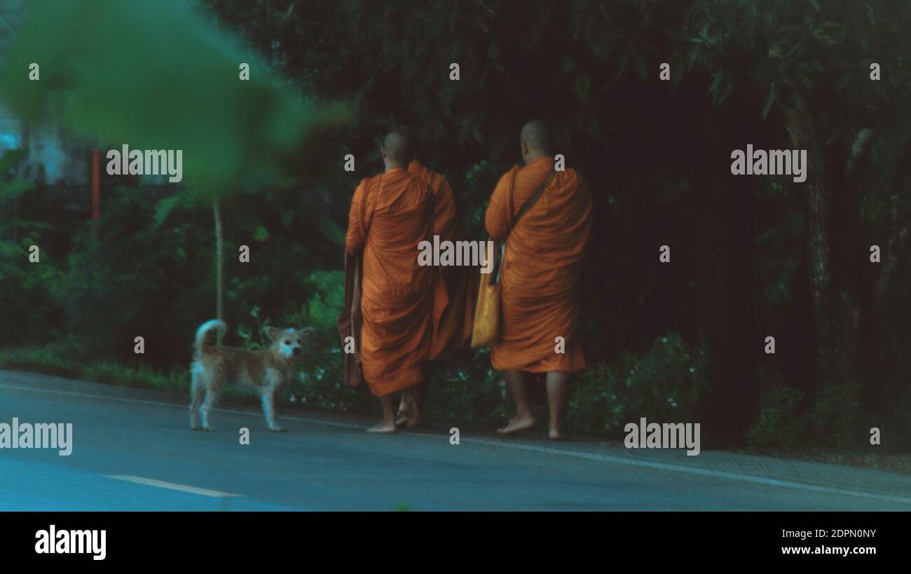Rear view of monks walking on the road hi-res stock photography and ...