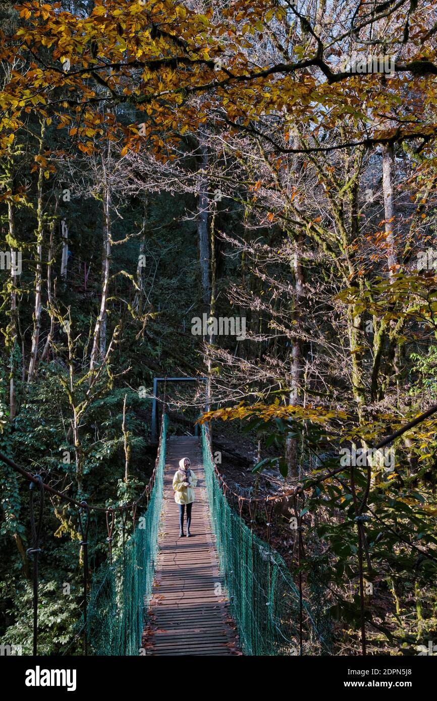 Young woman crossing suspension bridge Stock Photo - Alamy