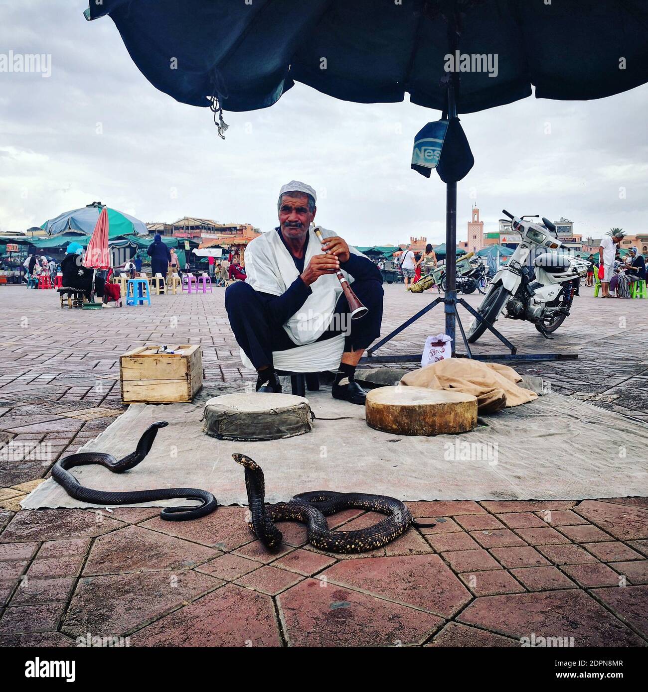 Basket for snakes hi-res stock photography and images - Alamy