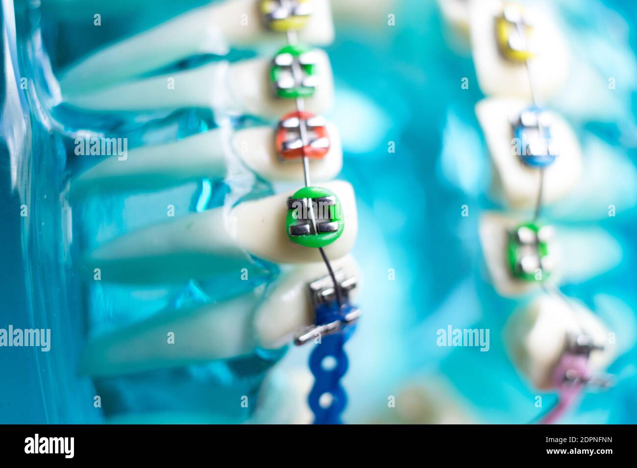 Human teeth row hi-res stock photography and images - Alamy
