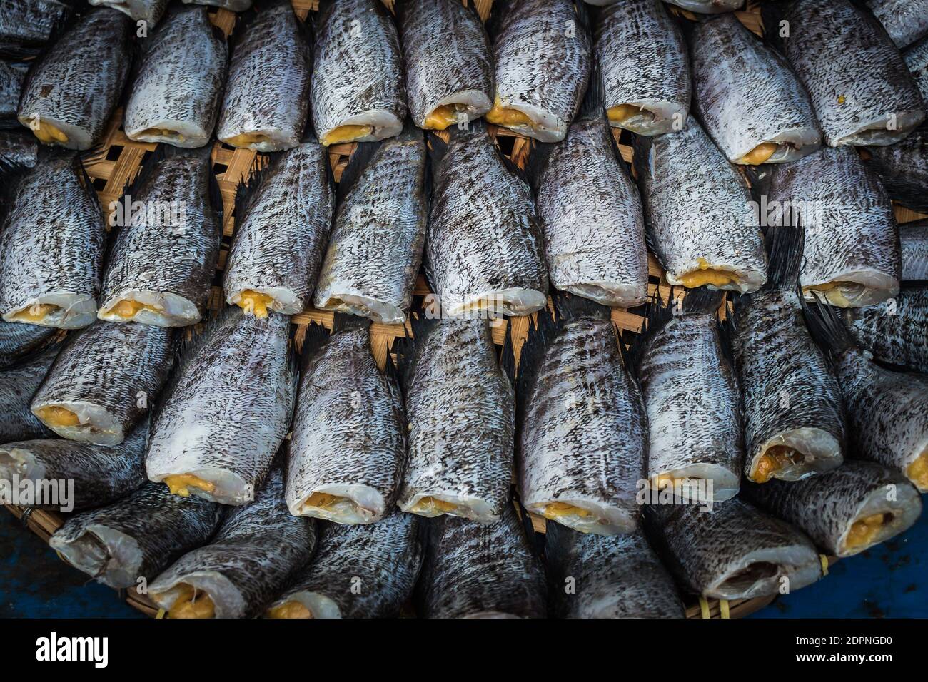 Sepat hi-res stock photography and images - Alamy