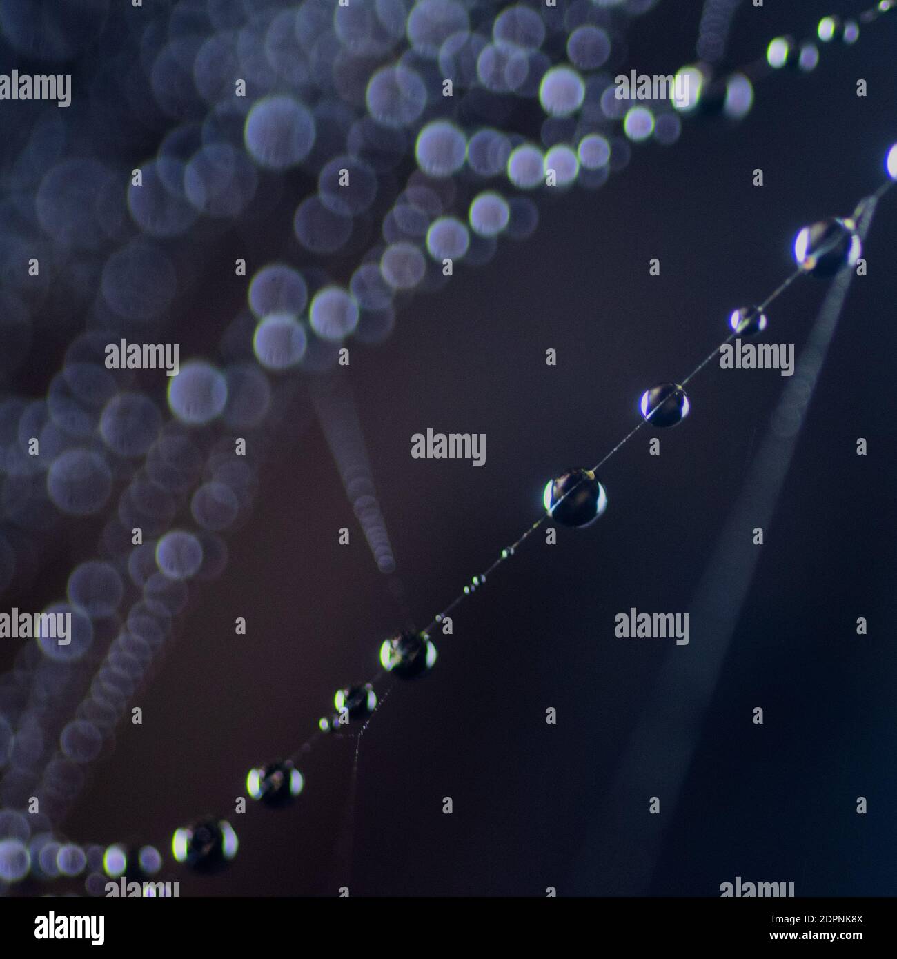String of raindrops hi-res stock photography and images - Alamy