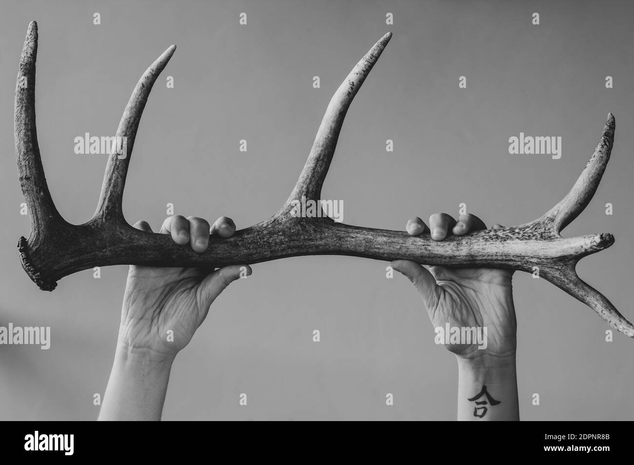 Antler tattoo hi-res stock photography and images - Alamy