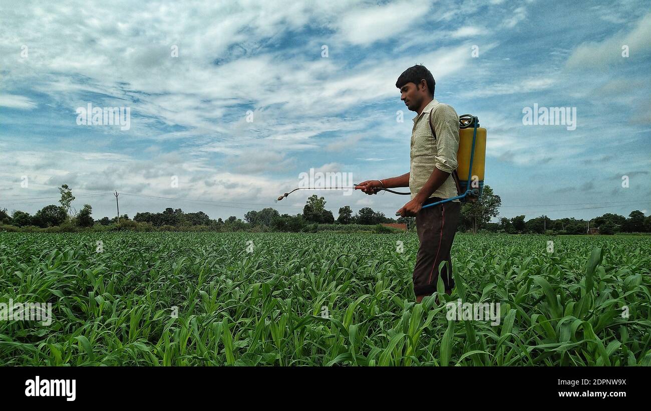 Spraying Insecticide India High Resolution Stock Photography and Images ...