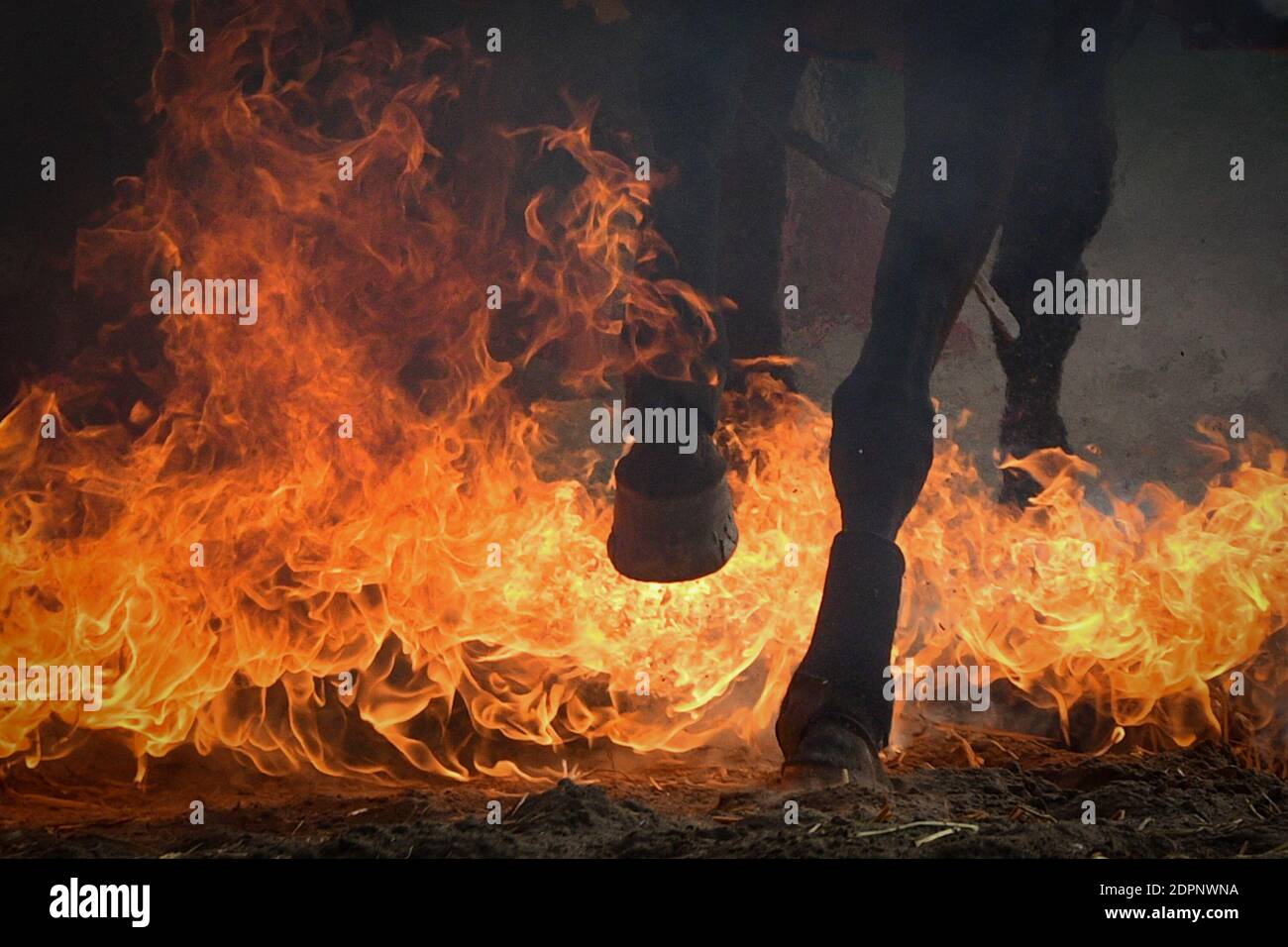 Horse Running Flame High Resolution Stock Photography and Images - Alamy