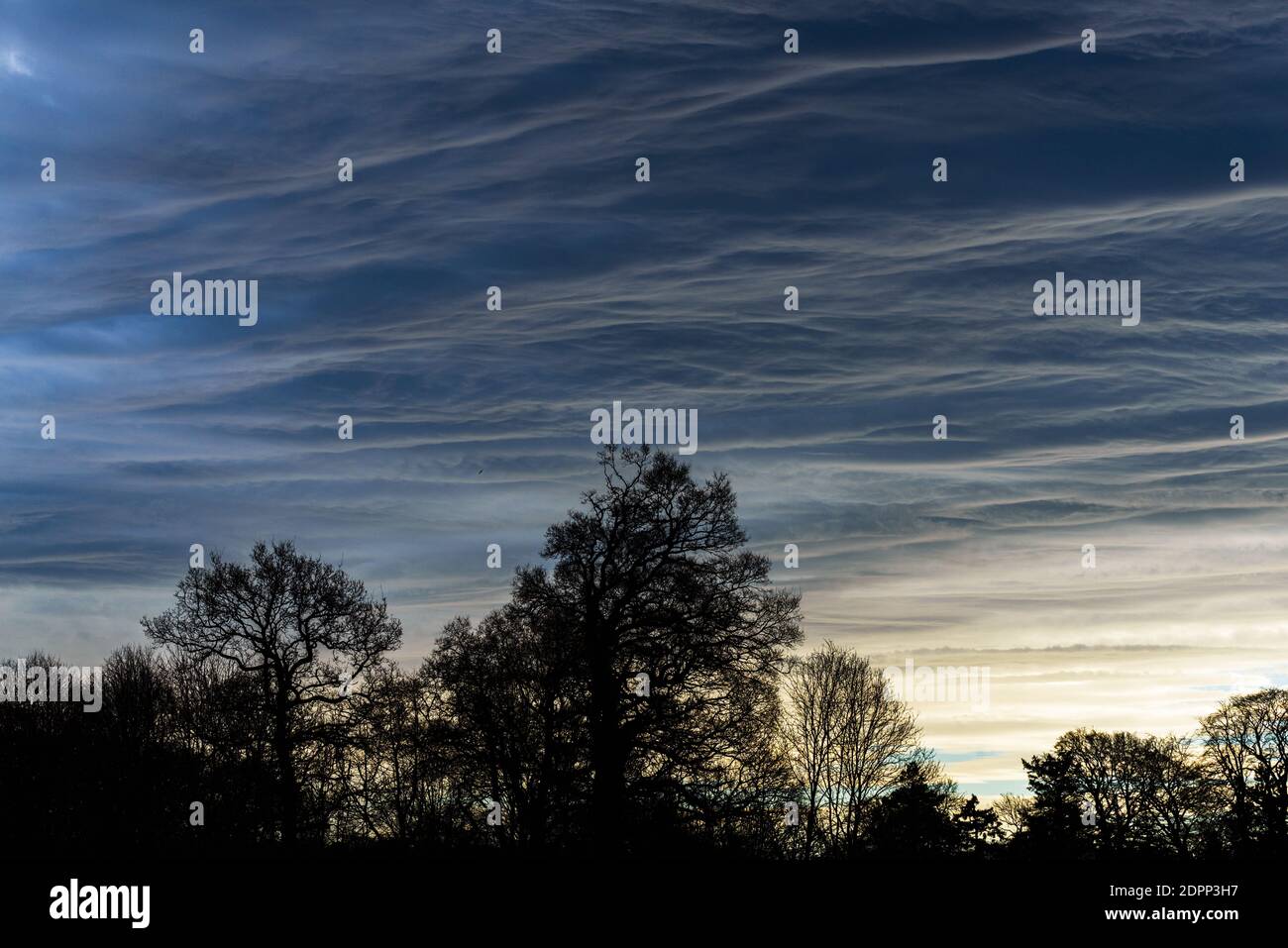 Dark forest ireland hi-res stock photography and images - Alamy