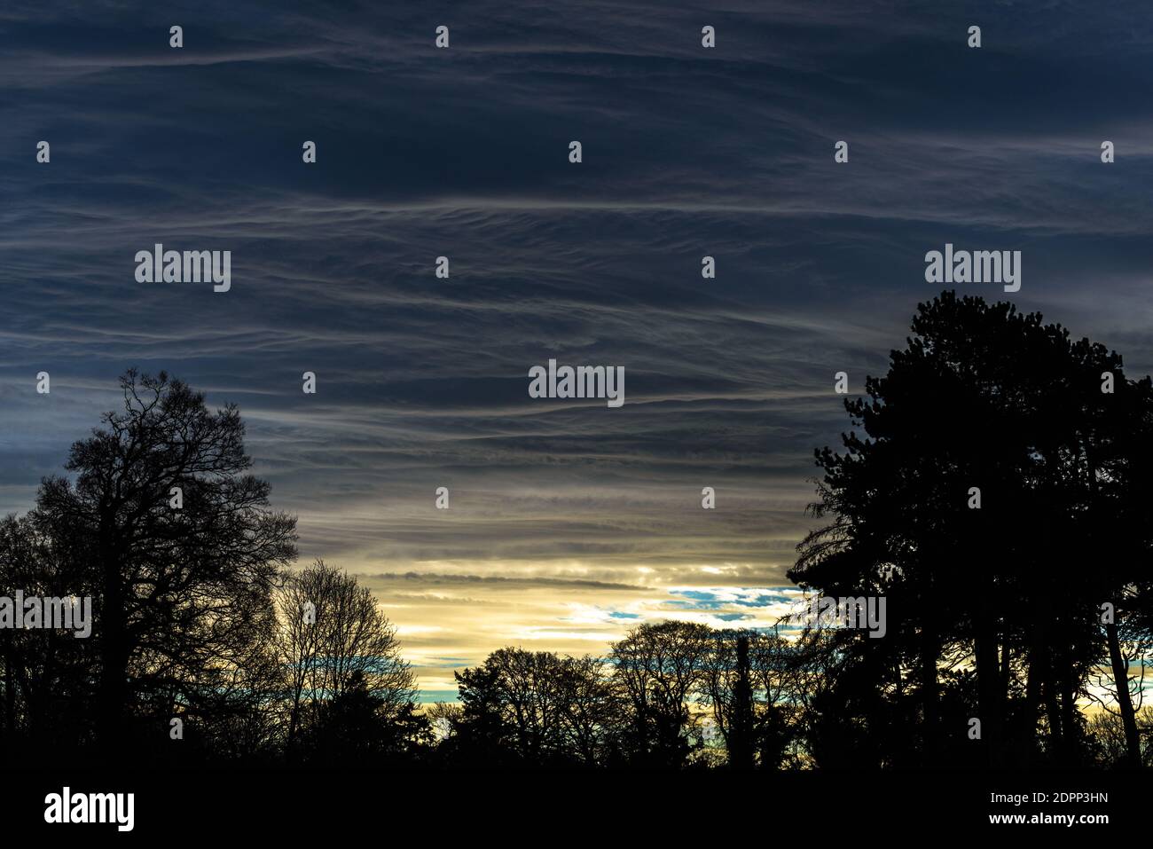 Dark forest ireland hi-res stock photography and images - Alamy
