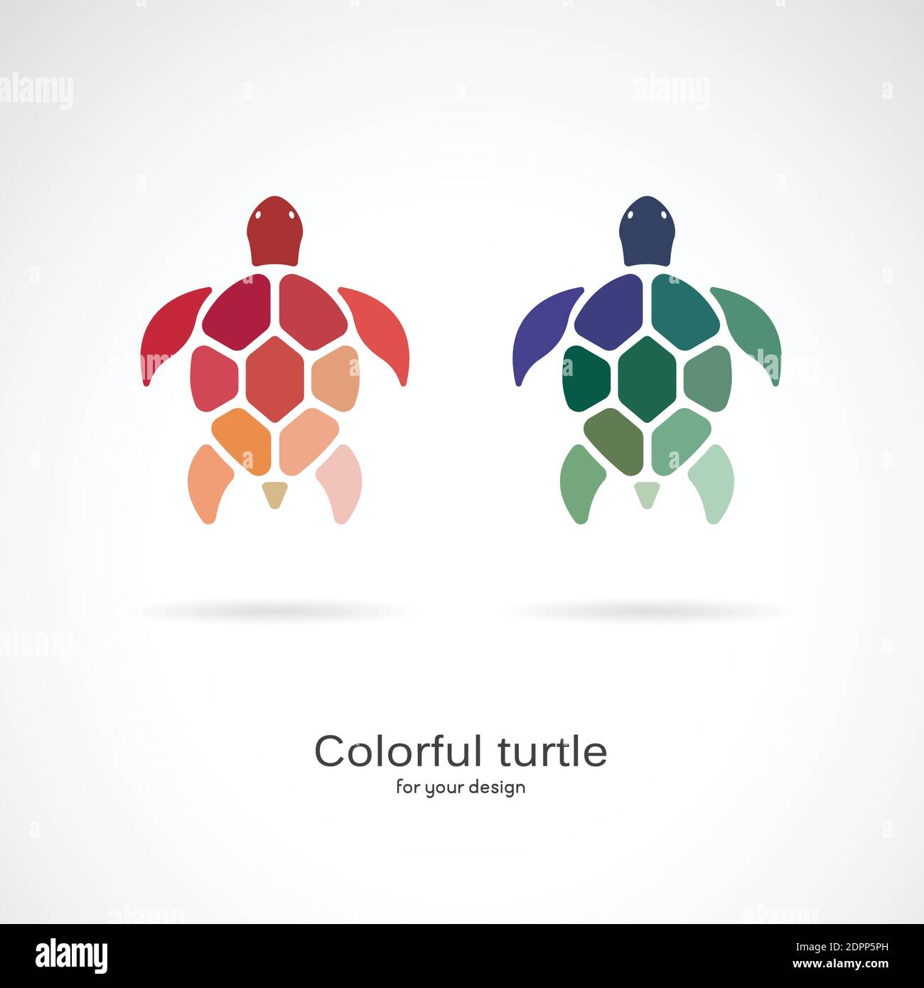 Vector of two colorful turtles on white background. Wild Animals ...