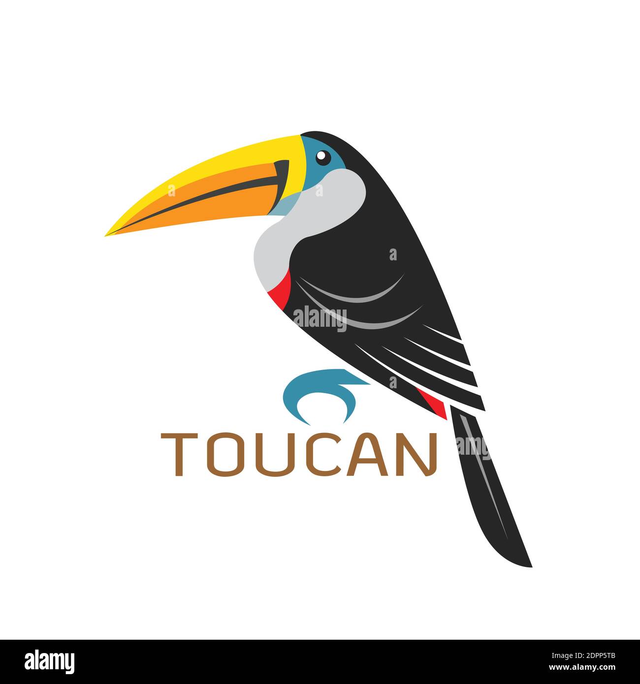 Vector of toucan design on a white background, Vector toucan for your ...