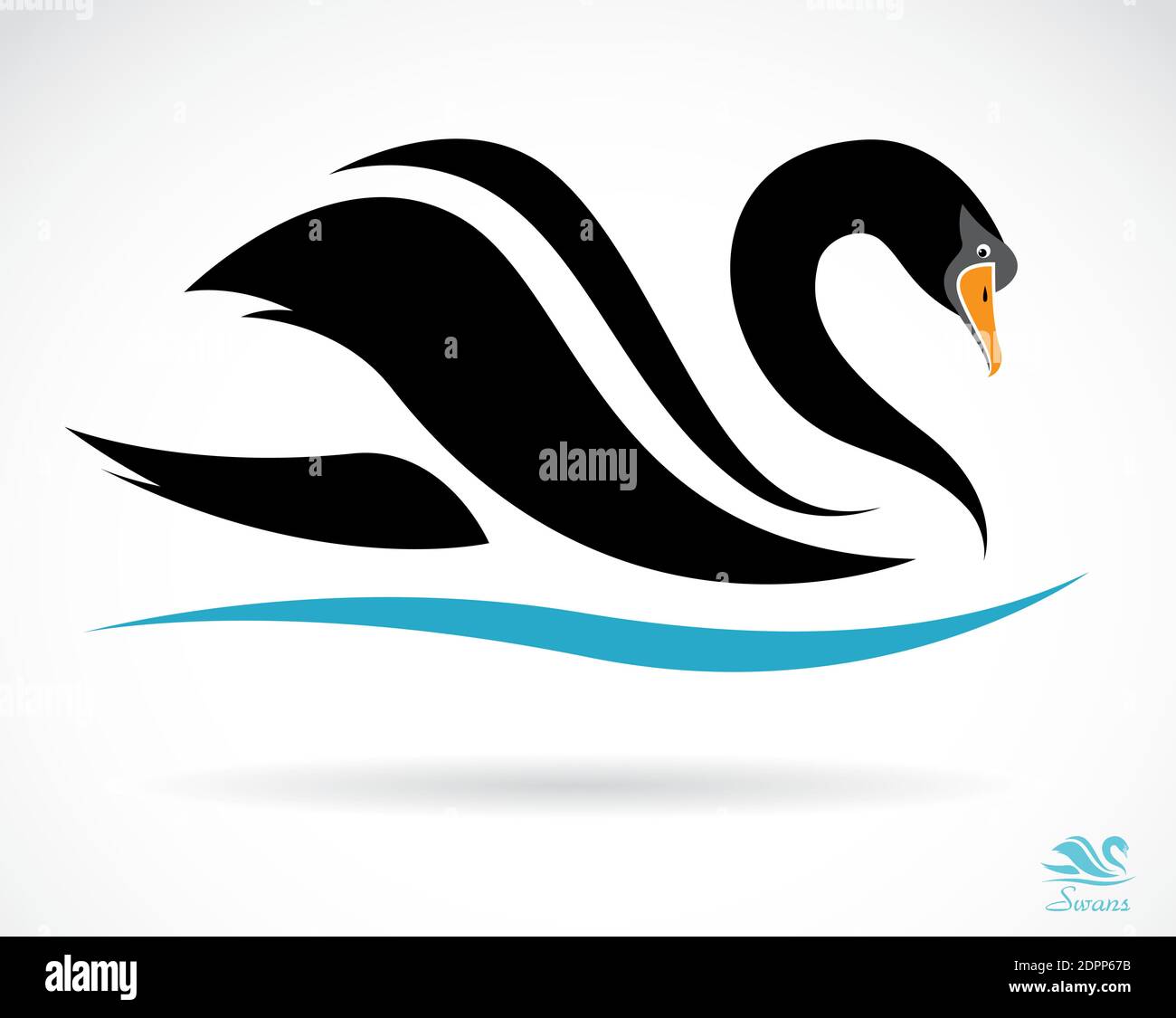 Vector of a swan on a black background. Easy editable layered vector ...