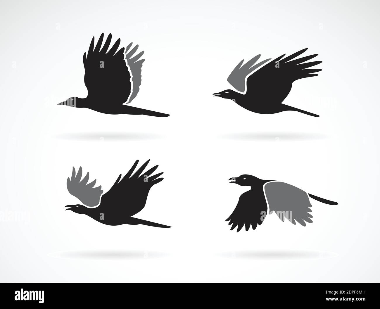 Vector group of black crow flying on white background. Birds. Animals ...