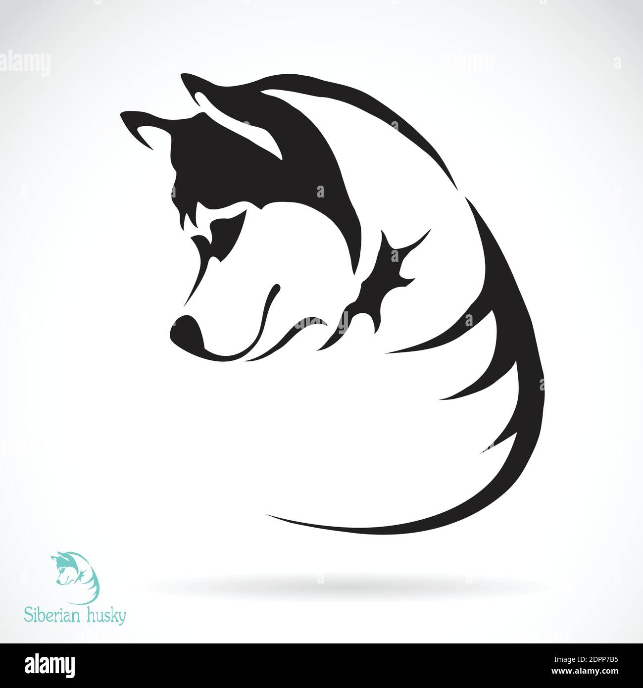 Vector of a dog siberian husky on white background. Easy editable ...