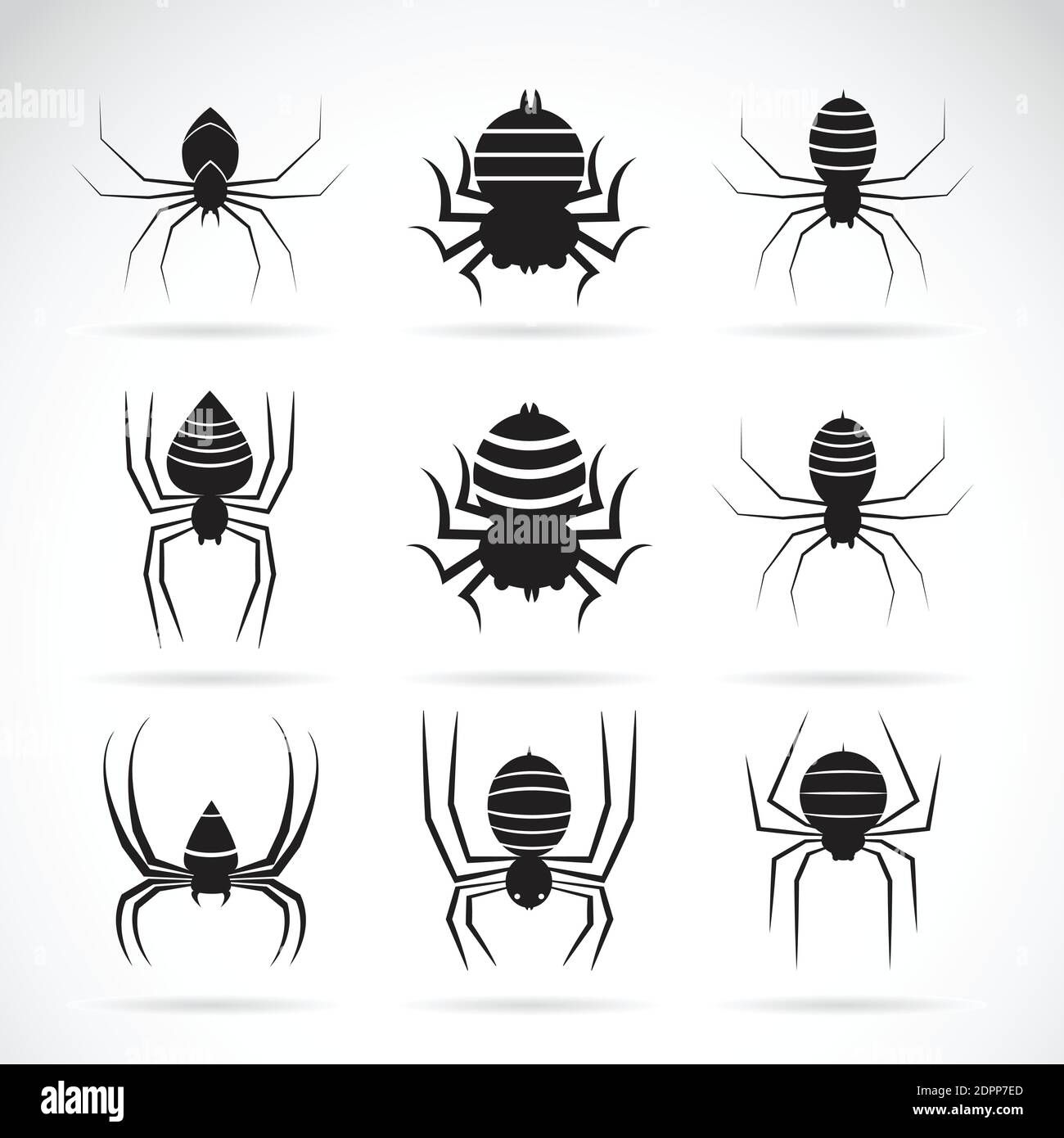 Vector group of spiders on white background. Insect Animals. Spiders ...