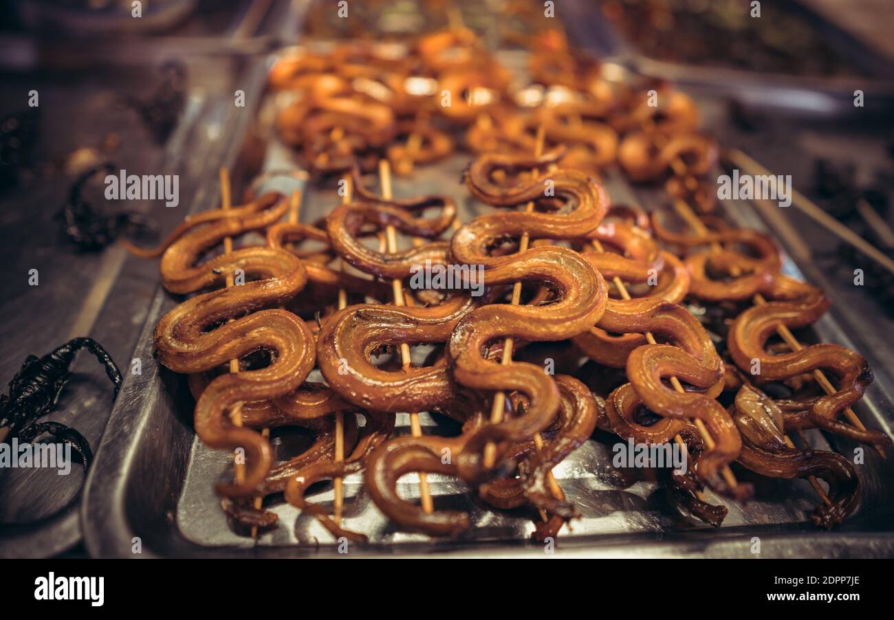 Snakes For Sale High Resolution Stock Photography and Images - Alamy