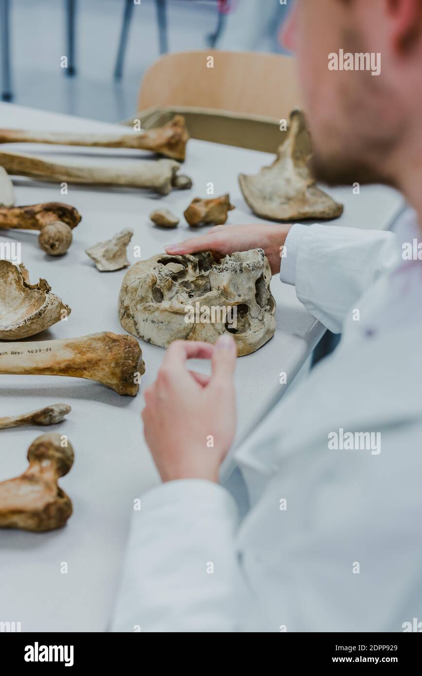 Real human bones hi-res stock photography and images - Alamy