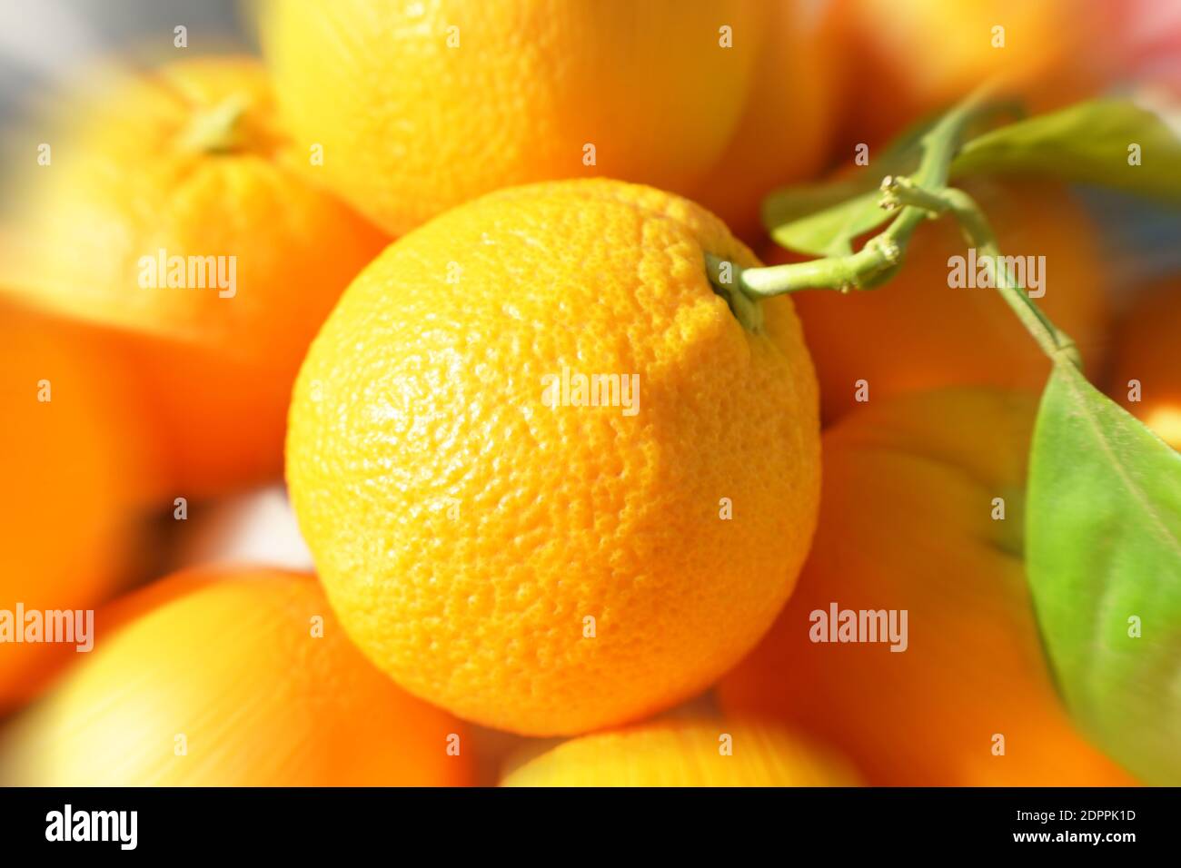 Beautiful Organic Oranges Close Up With Zoom Burst Effect Stock Photo ...