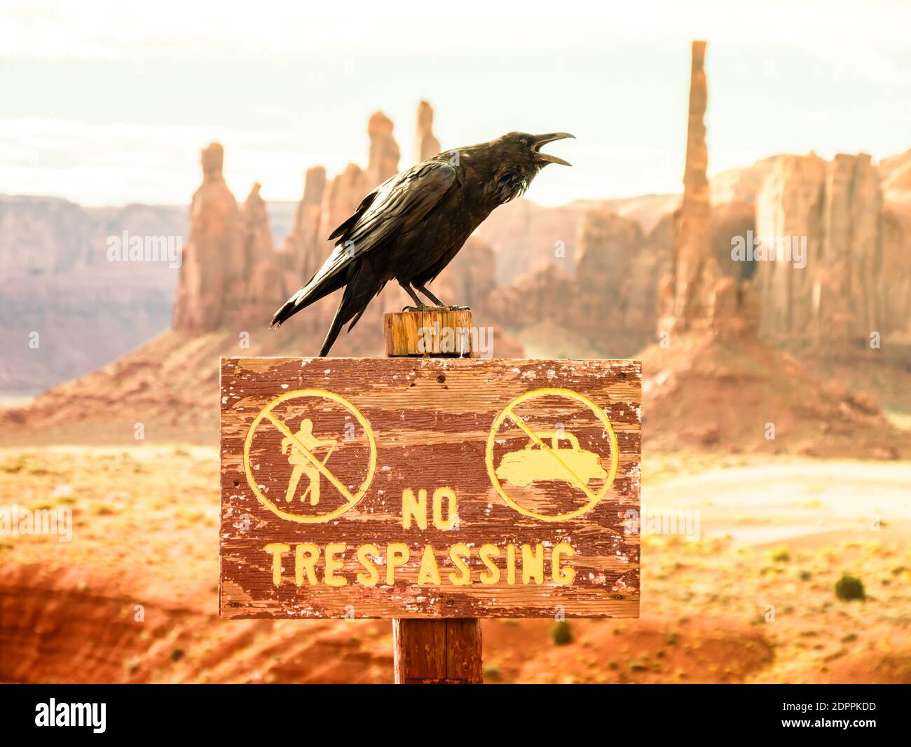 Monument Valley Utah Bird High Resolution Stock Photography and Images ...