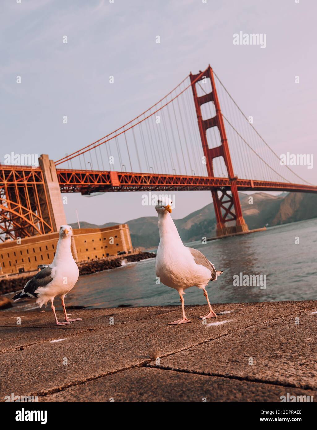 Rap Group High Resolution Stock Photography and Images - Alamy