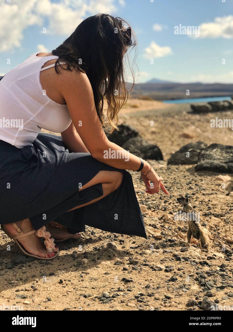 Sky pointing animal animals hi-res stock photography and images - Alamy