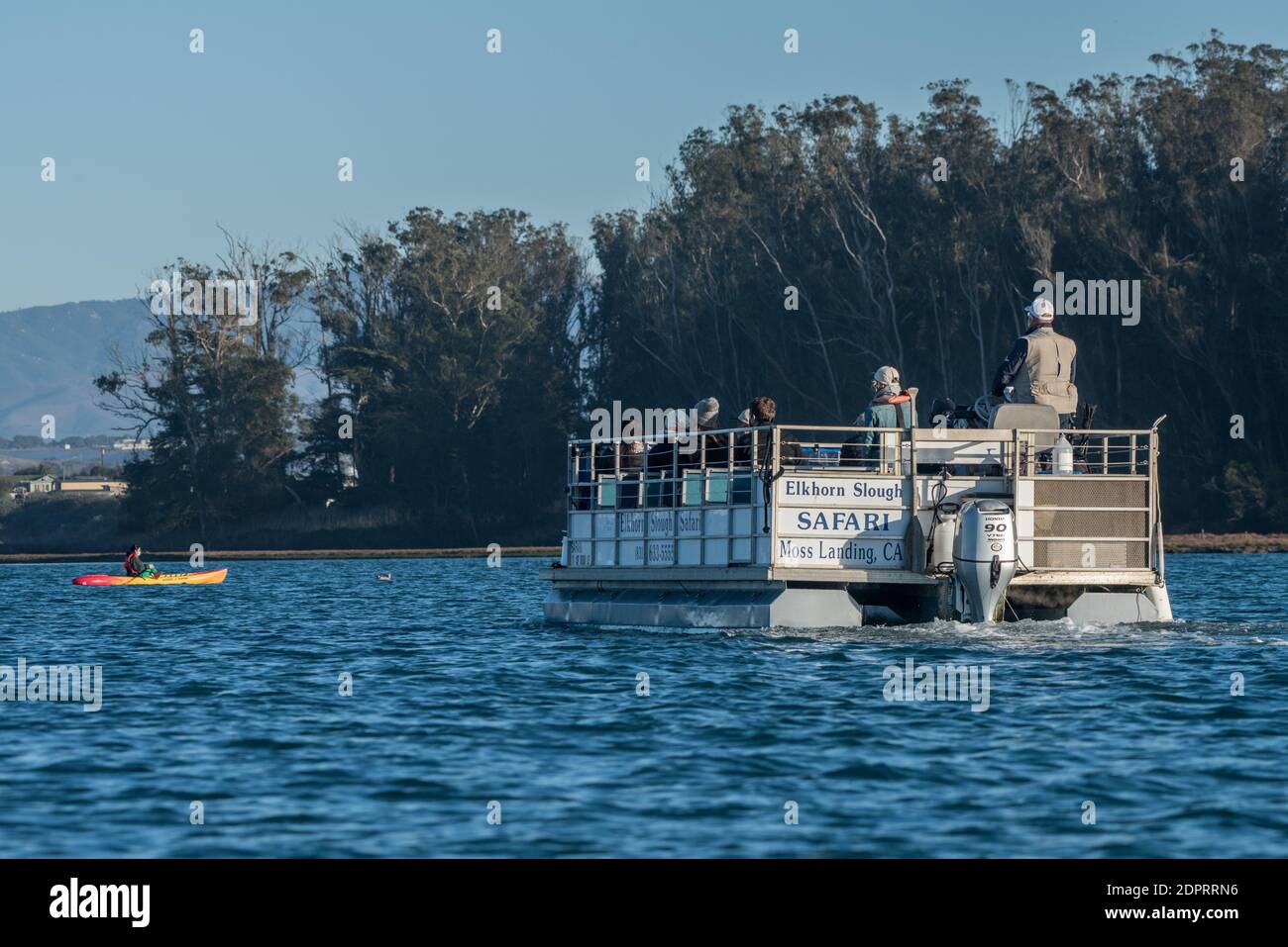 The elkhorn slough safari boat takes ecotourists out into the wildlife ...