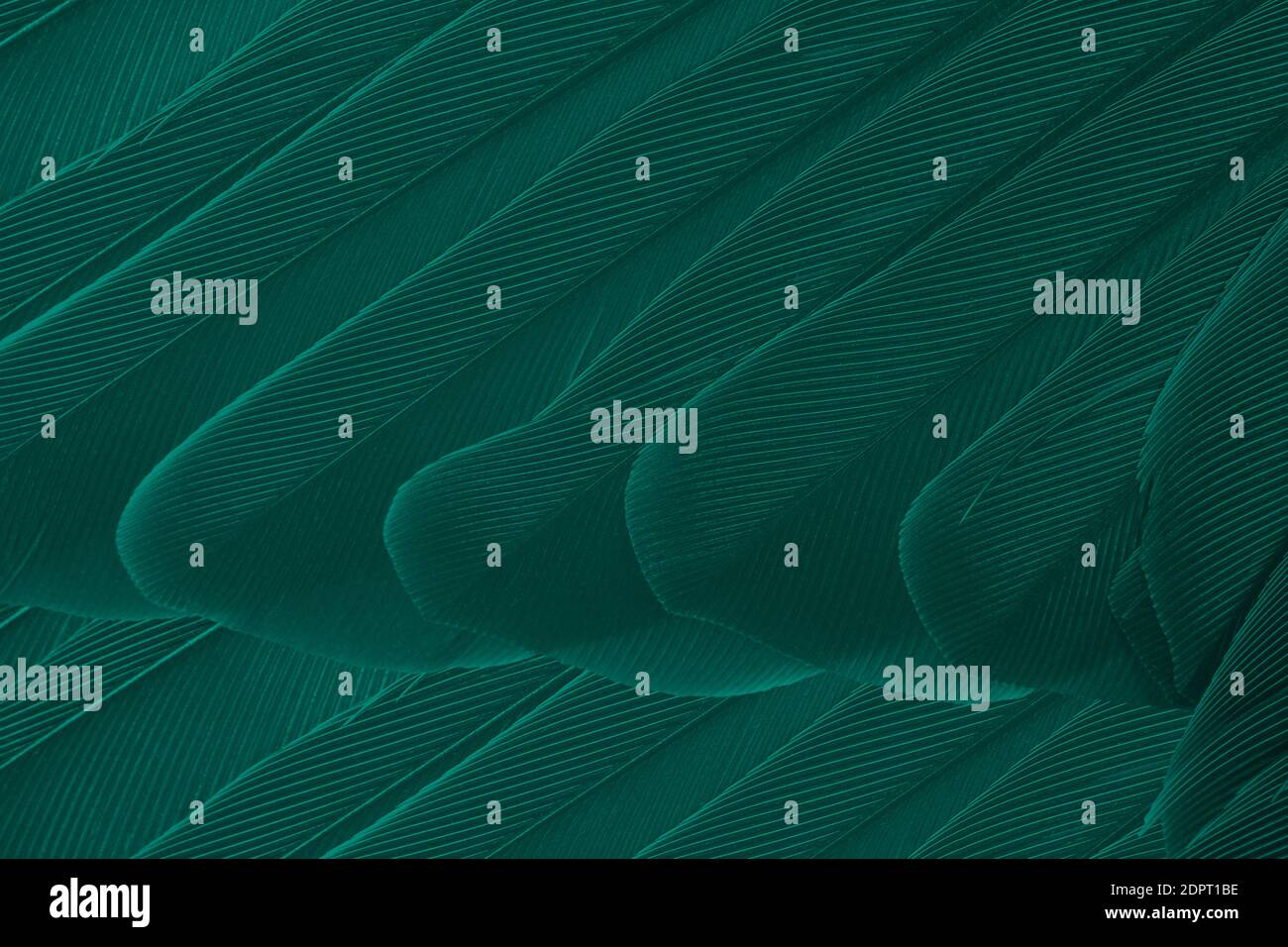 Viridian Color High Resolution Stock Photography and Images - Alamy