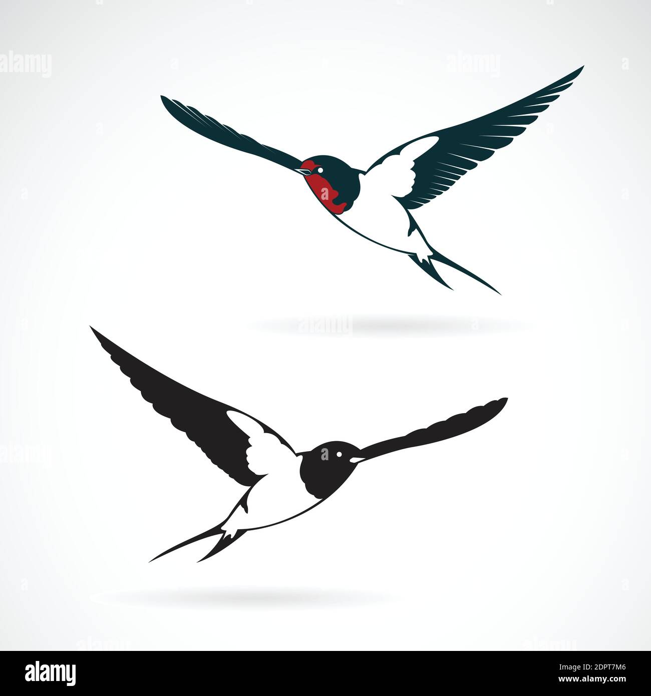 Vector of bird swallows design on white background., Bird Icon., Wild ...