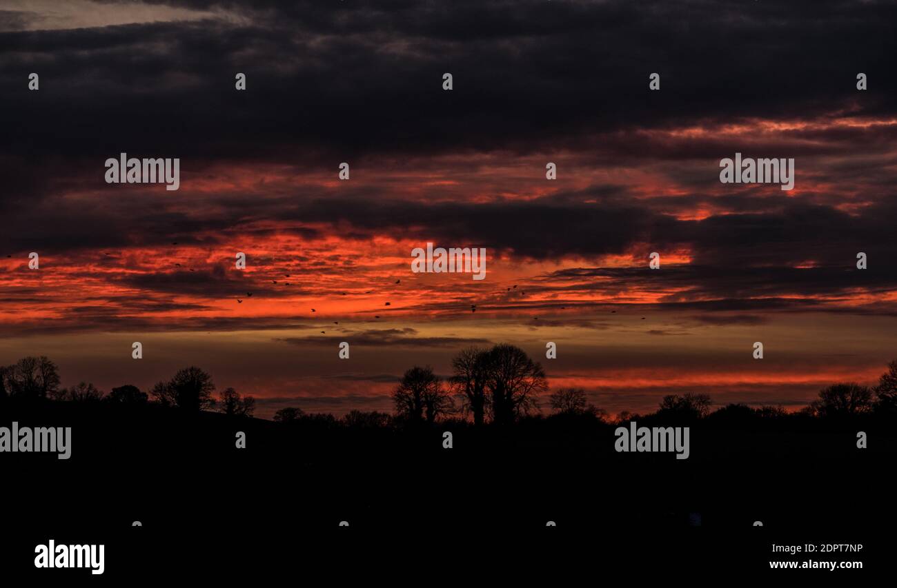 Beautiful red sunset, clouds and forest in Ireland Stock Photo - Alamy