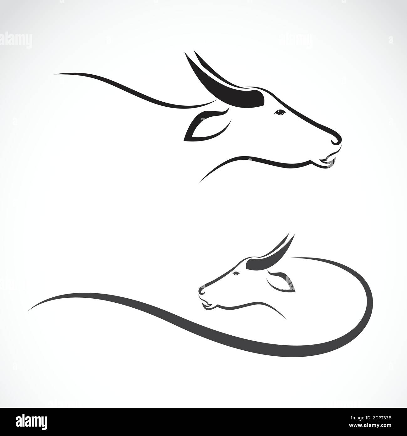 Vector of buffalo on white background. Easy editable layered vector ...