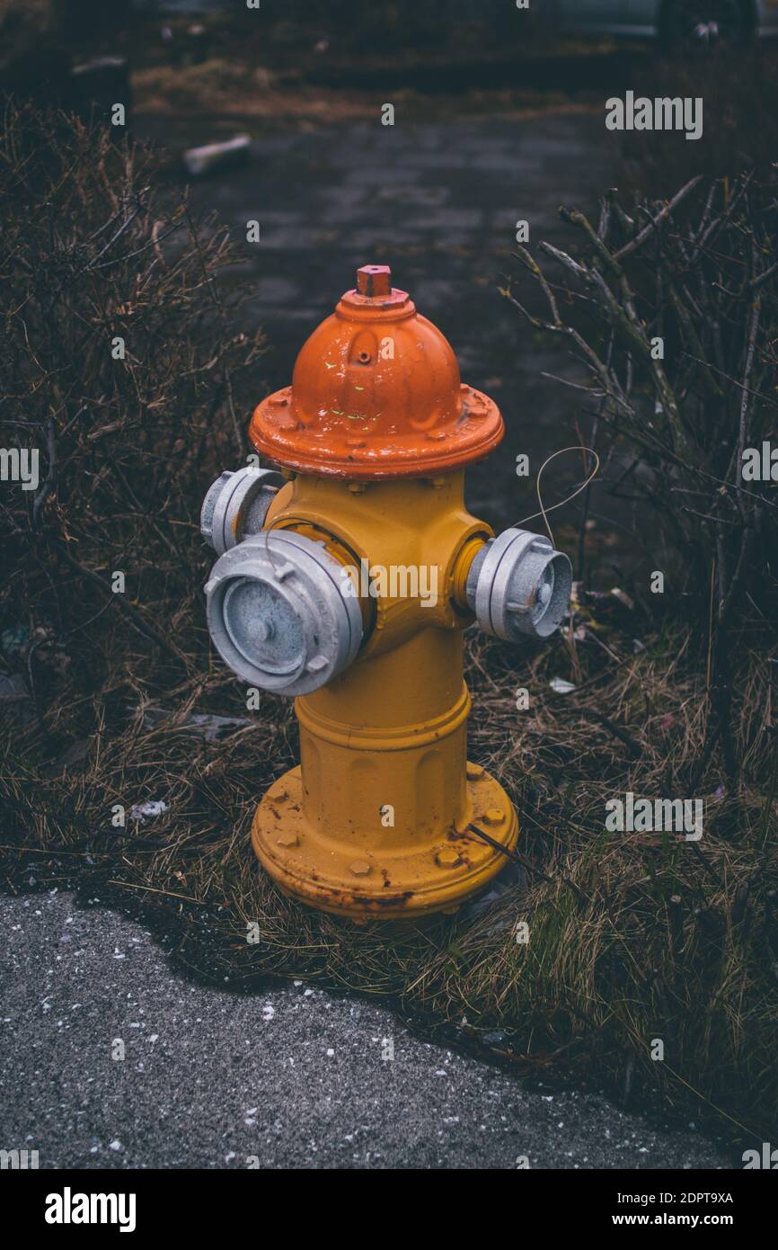 Reykjavik fire hydrant hi-res stock photography and images - Alamy