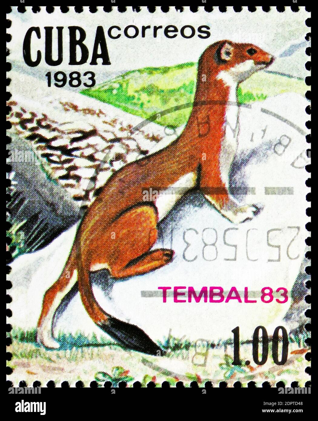 MOSCOW, RUSSIA - NOVEMBER 10, 2018: A stamp printed in Cuba shows Least ...