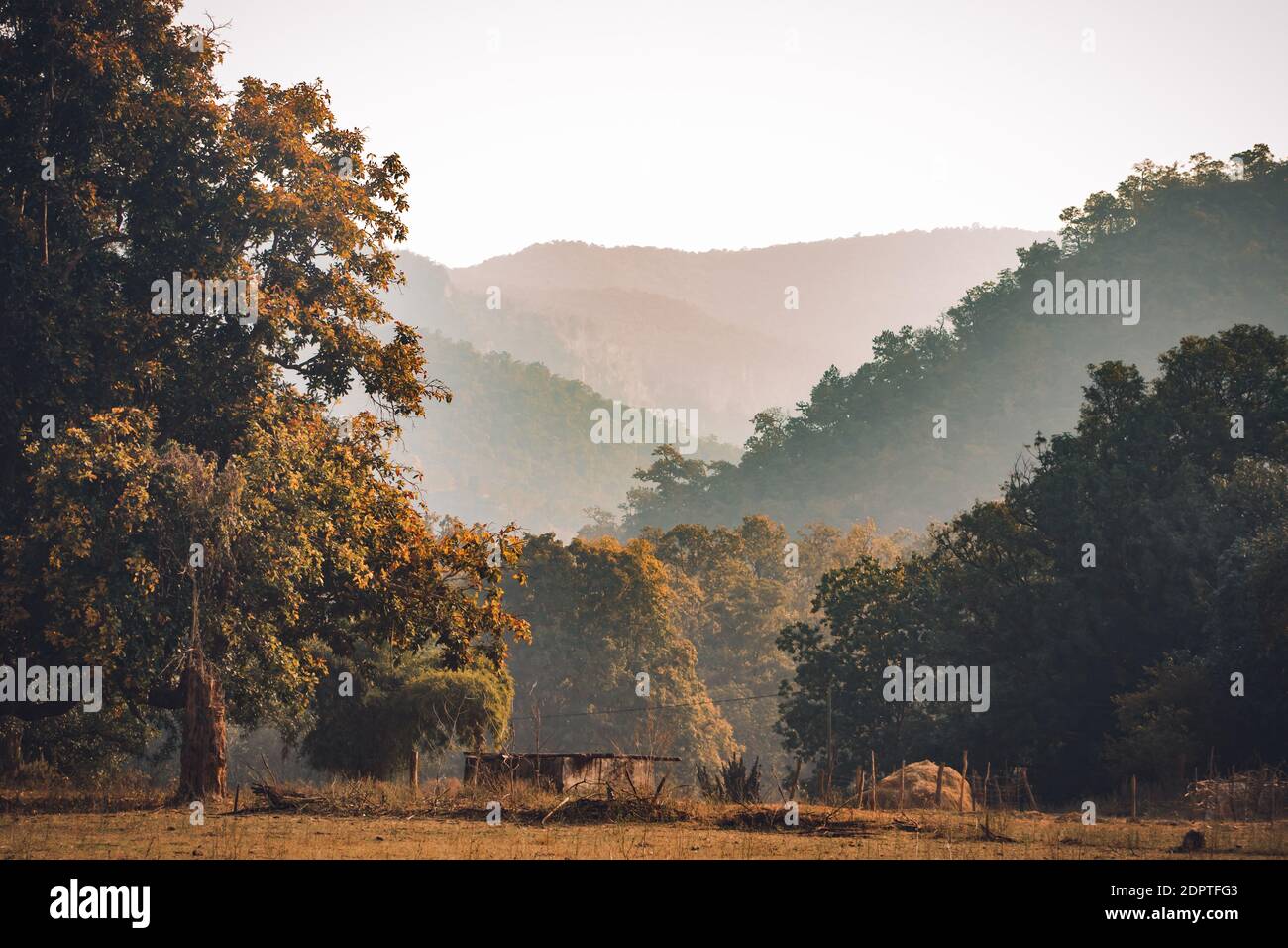 Korba india hi-res stock photography and images - Alamy