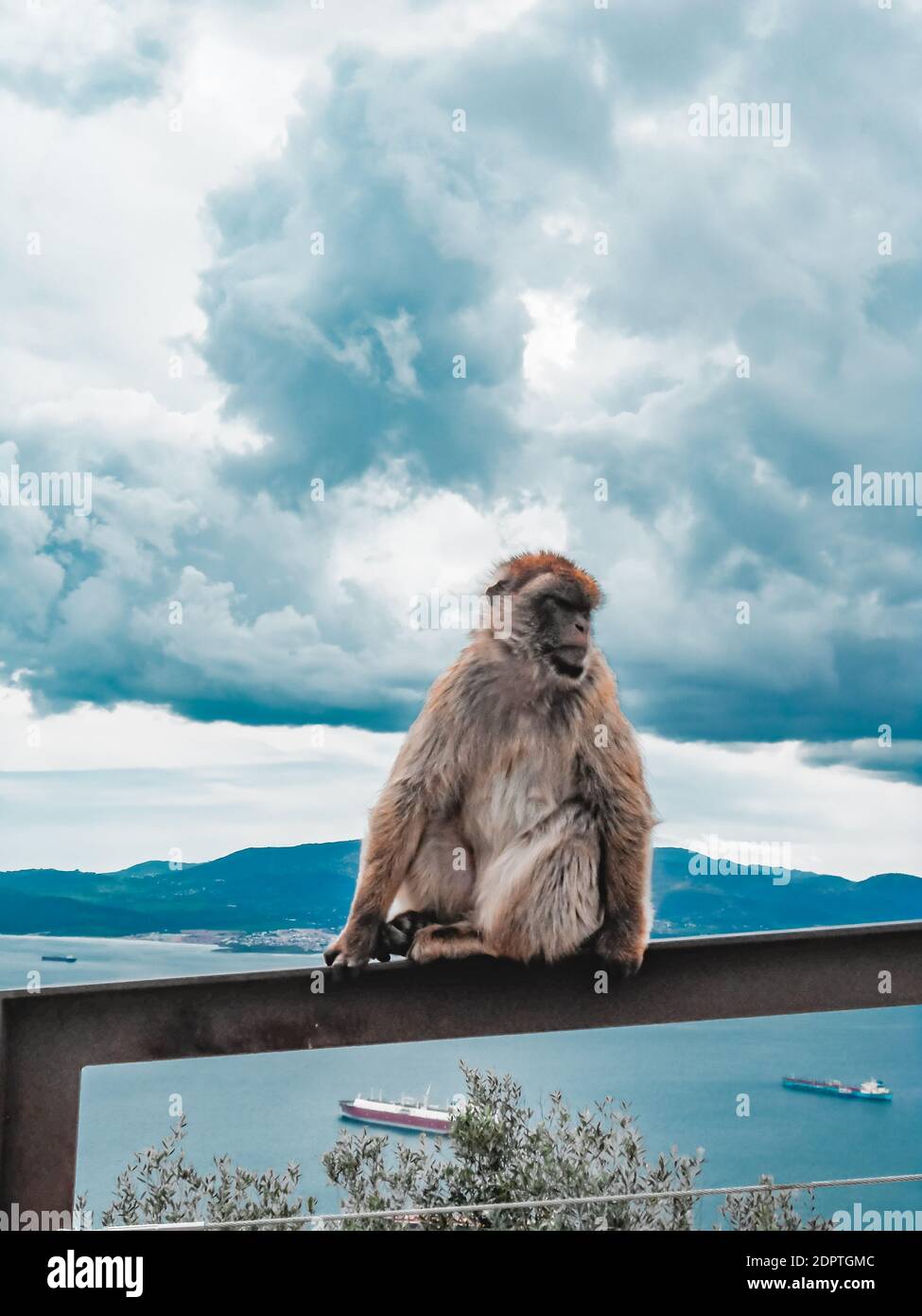 Container ship head on not suez hi-res stock photography and images - Alamy