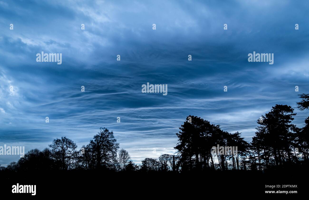 Dark forest ireland hi-res stock photography and images - Alamy