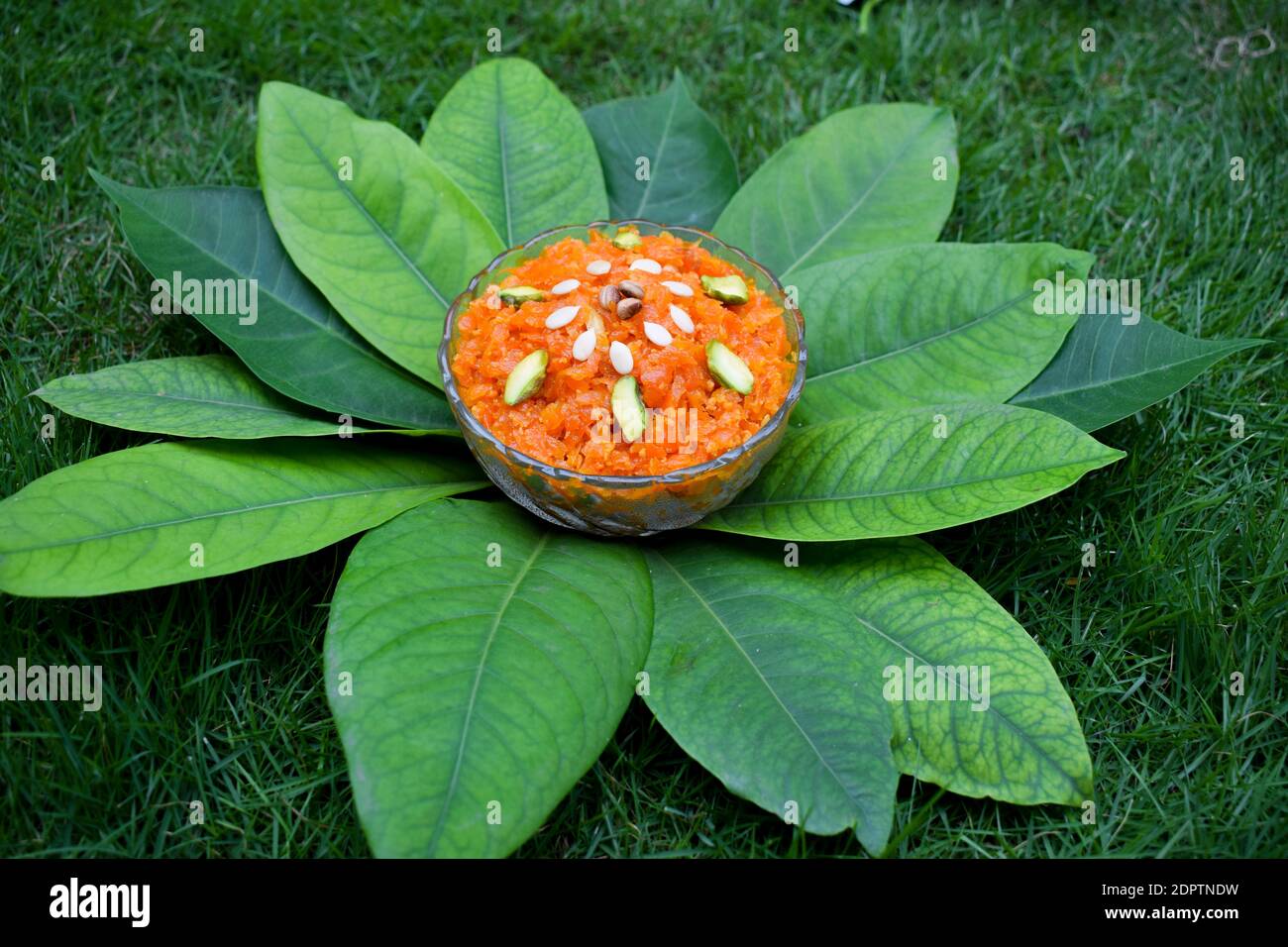 Gaajar ka halwa decorated with dry fruits nuts served in transparent ...