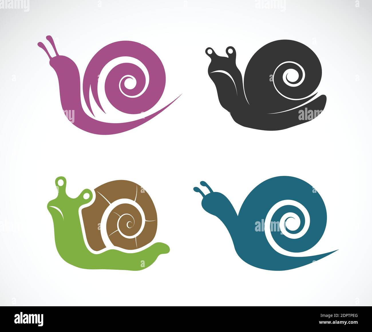 Vector of a snail on white background. Easy editable layered vector ...