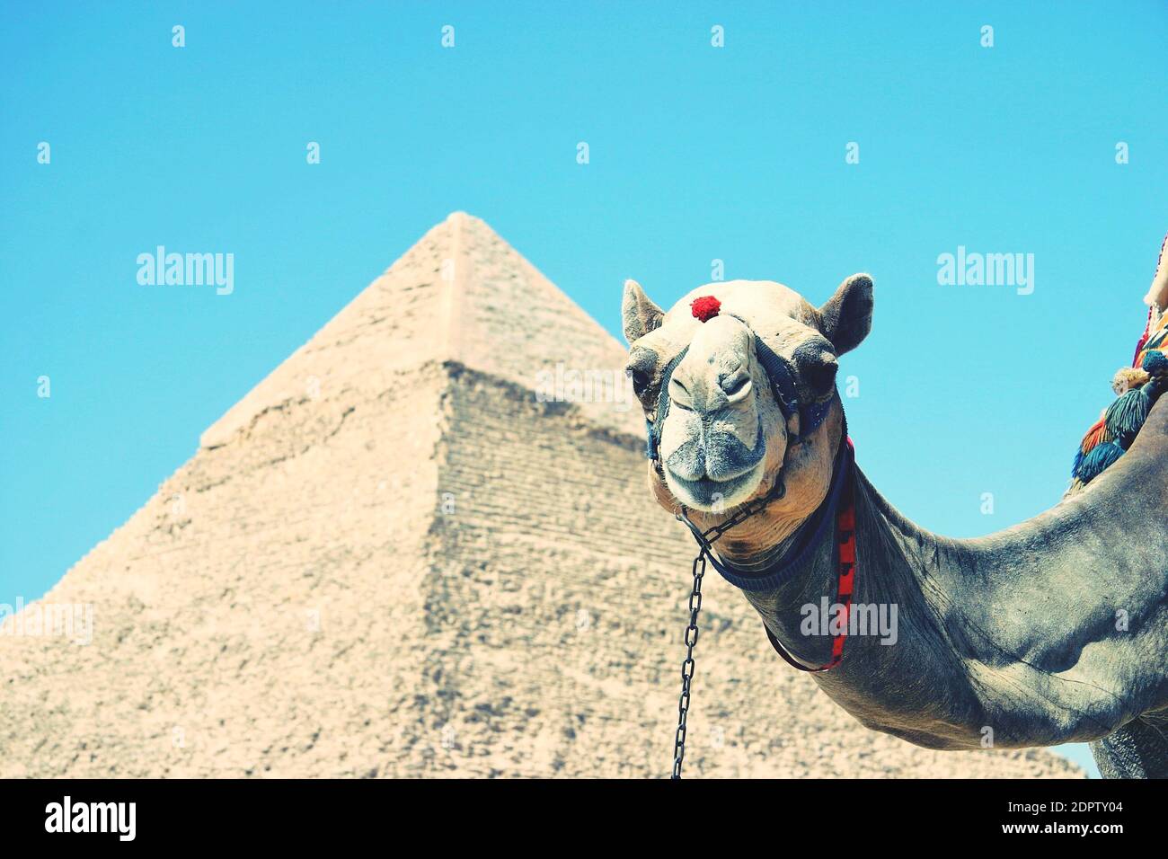 Poses in cairo hi-res stock photography and images - Alamy