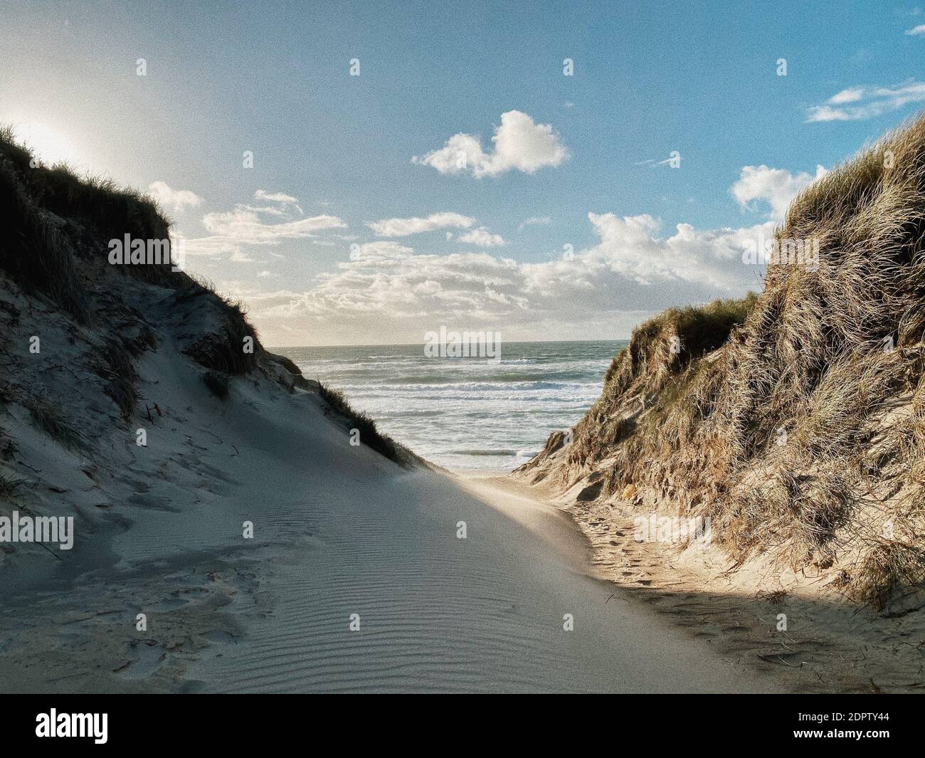 Sand thy hi-res stock photography and images - Alamy
