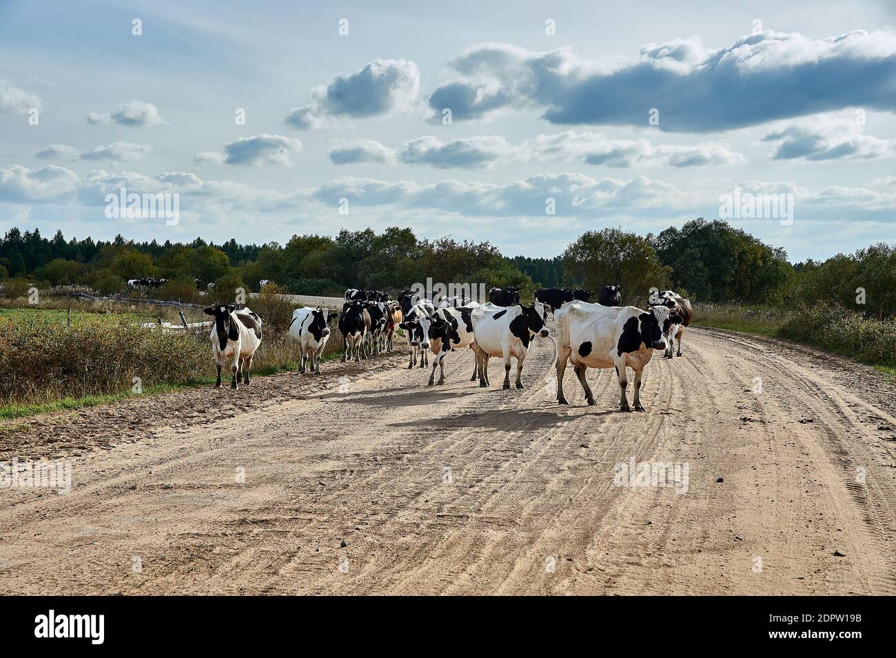 Rural areas in the countryside in summer hi-res stock photography and ...