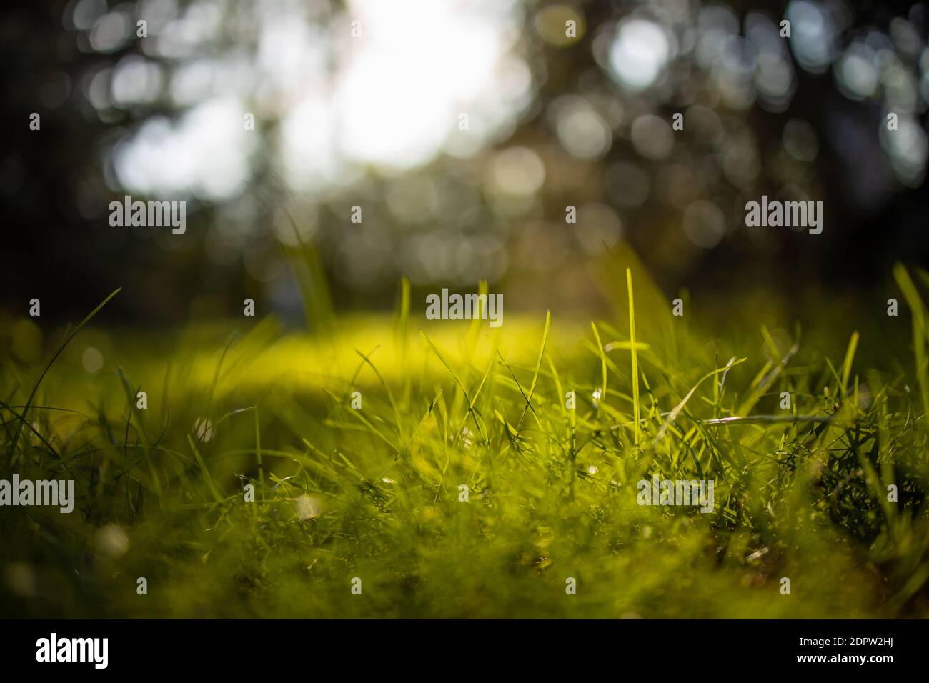 Bright Nature Wallpapers