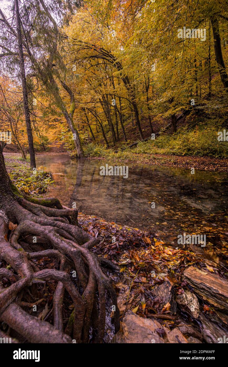 Autumn creek landscape. colorful trees and beautiful waterfall in deep ...