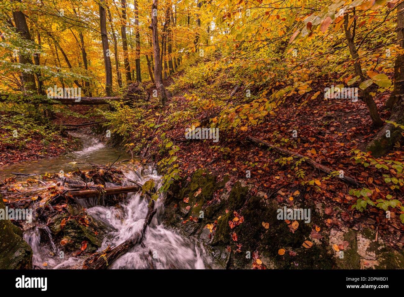 Deep river hi-res stock photography and images - Alamy