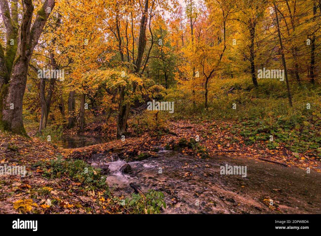 Deep river hi-res stock photography and images - Alamy