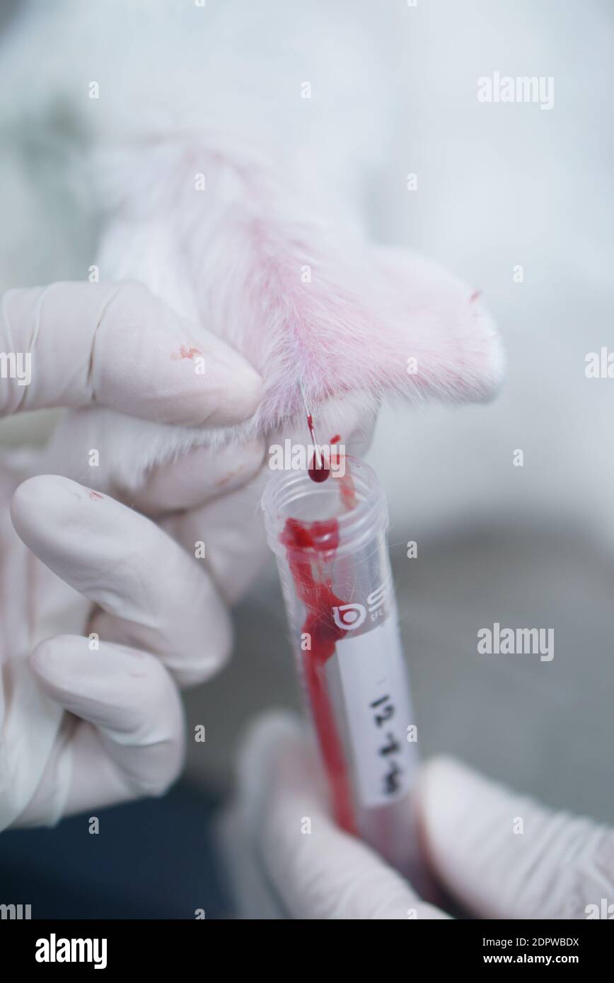 Medical testing hi-res stock photography and images - Alamy