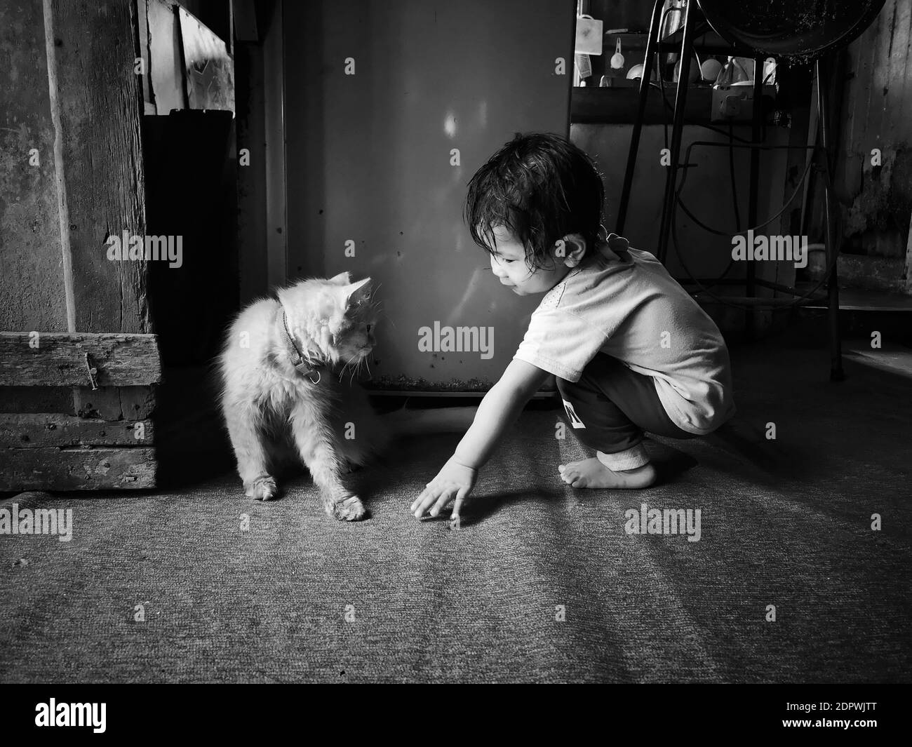 Indian girl with pet cat hi-res stock photography and images - Alamy