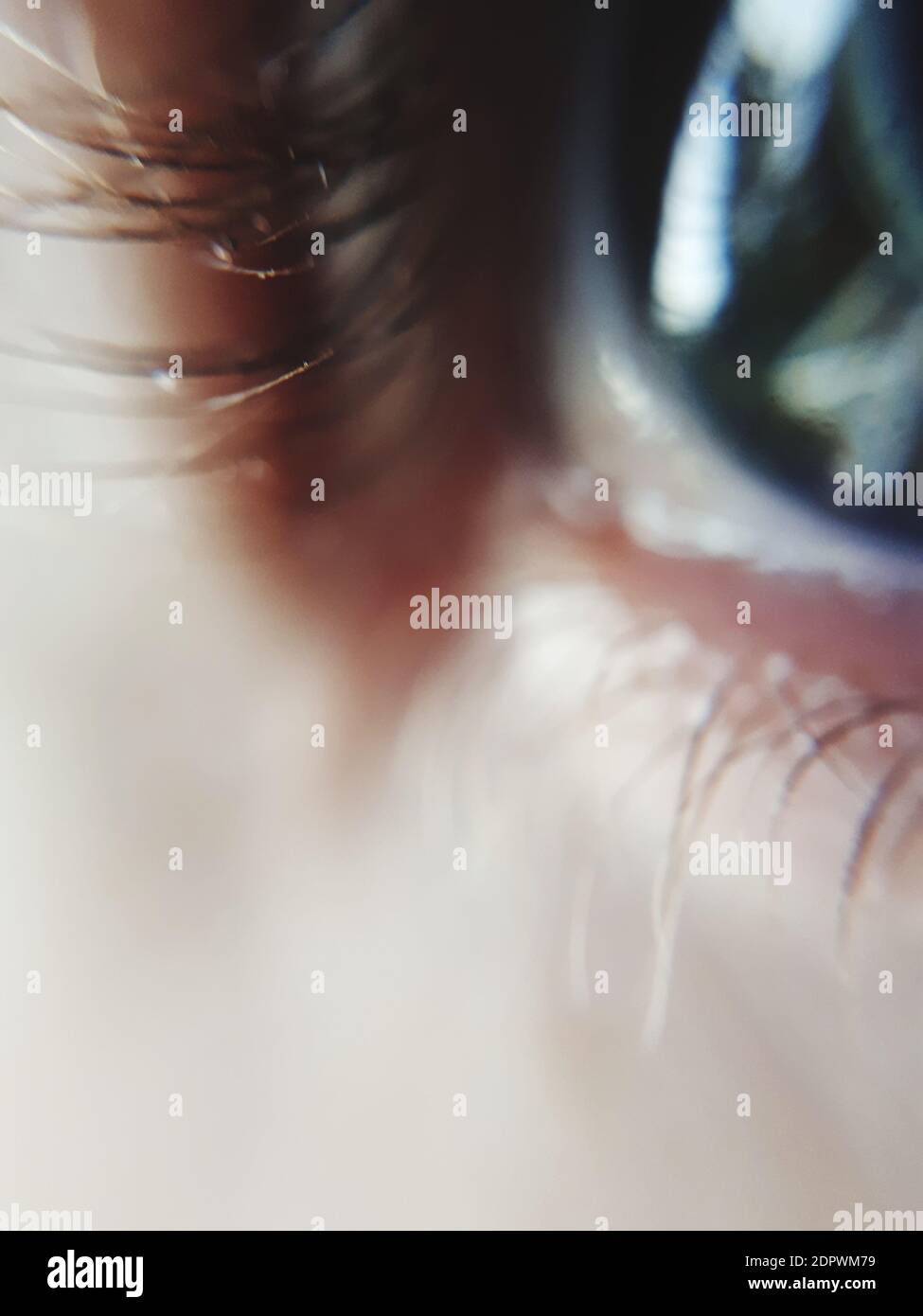 Eyelash anatomy hi-res stock photography and images - Alamy