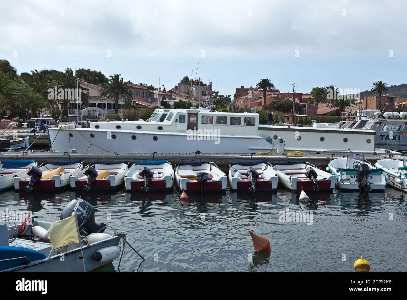 Island of Porquerolles (Var,France Stock Photo - Alamy