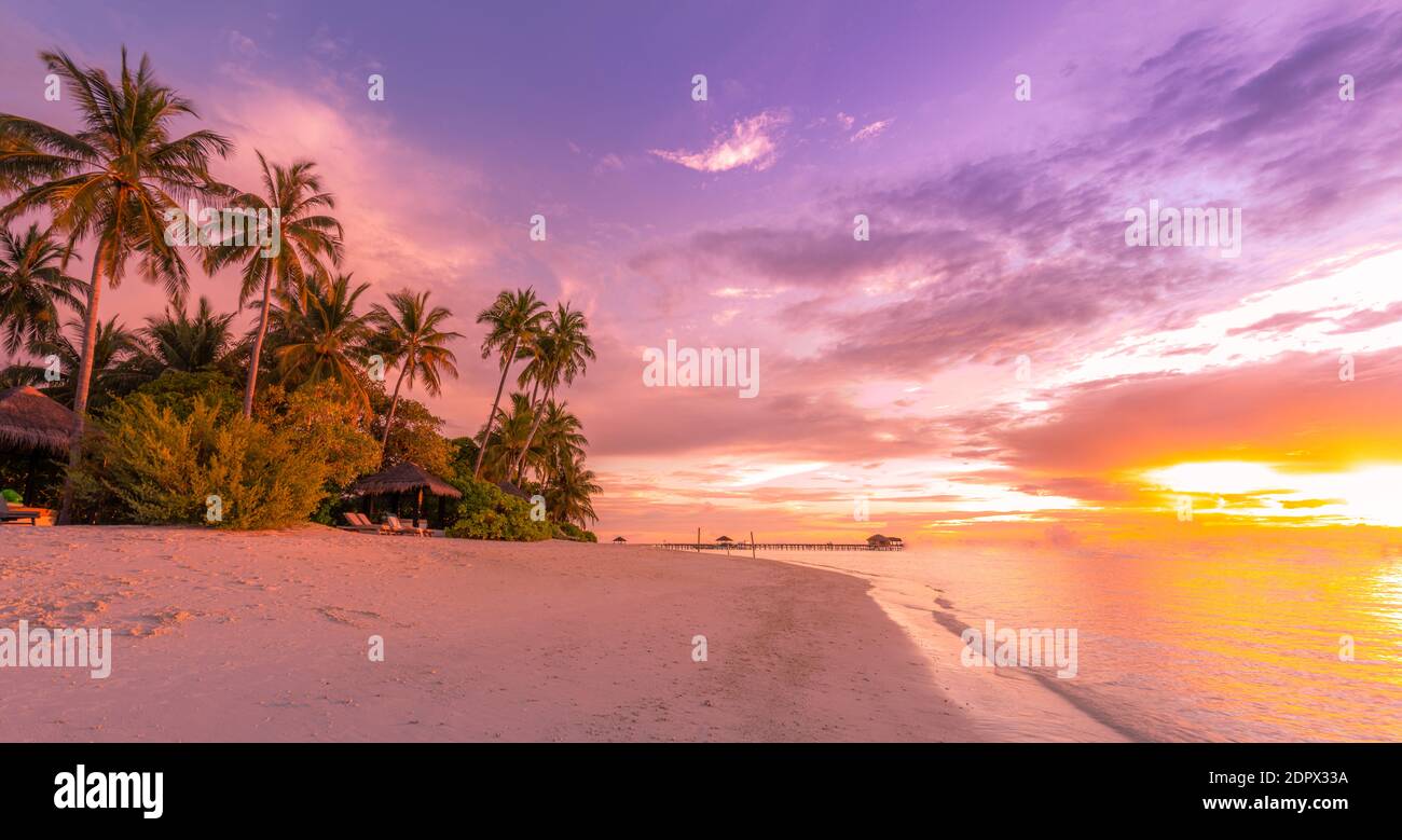 Beautiful tropical beach banner. White sand and coco palms travel ...
